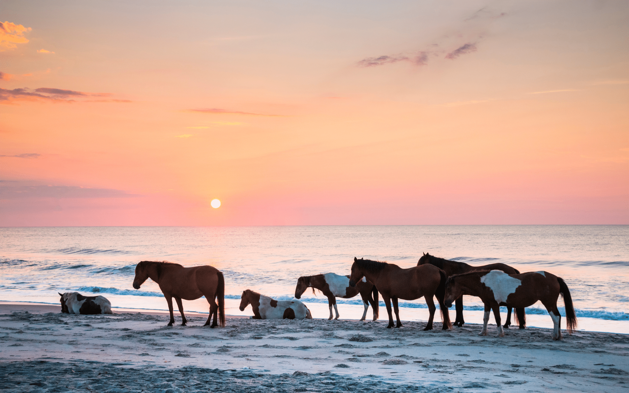 Every National Lakeshore and Seashore You Can Visit - Samantha Brown's ...